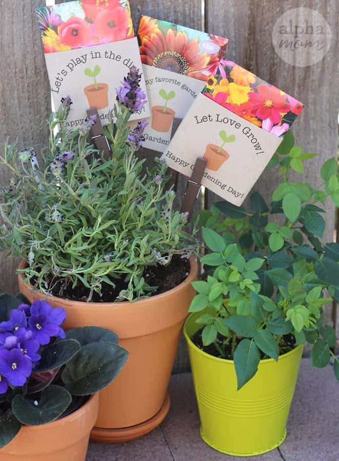 Gardening Seed Packet Cards for Friends | Alpha Mom