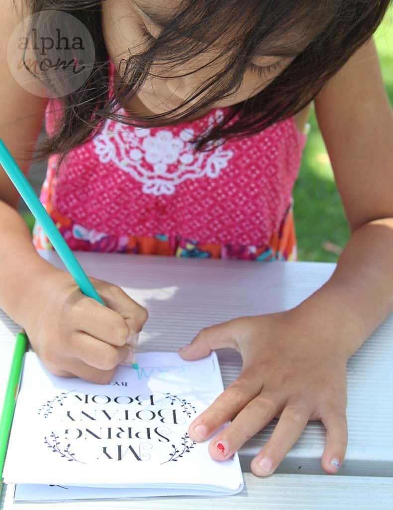 Spring Botany Book Craft for Kids | Alpha Mom