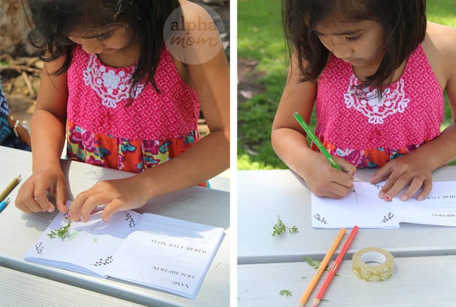 Spring Botany Book Craft for Kids | Alpha Mom